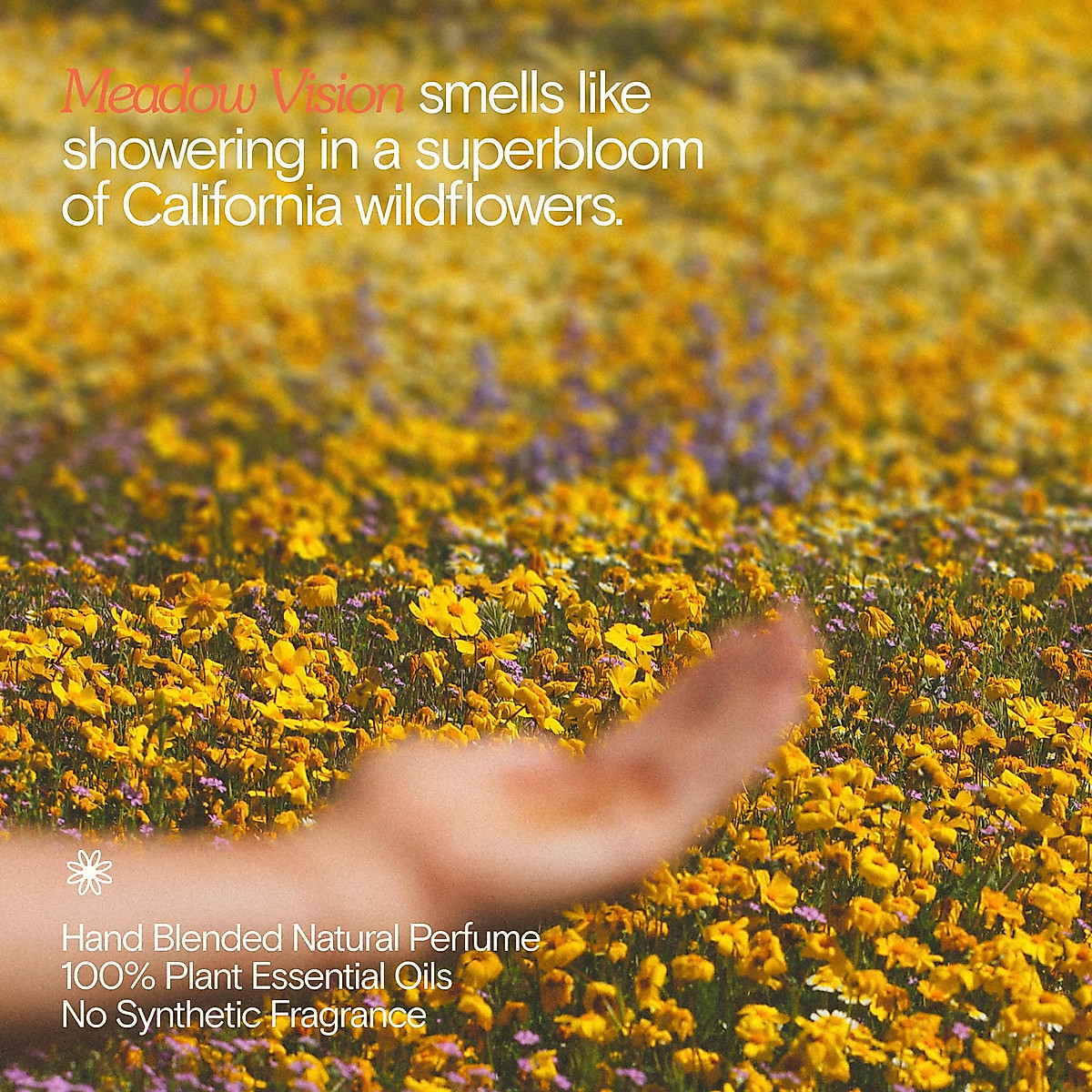 Bathing Culture - Organic Mind + Body Wash | Natural, Biodegradable, Sustainable, Vegan Personal Care (2.7 fl oz, Meadow Vision)