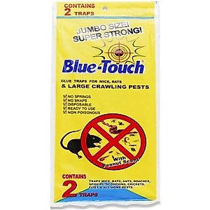 Blue Touch Large Glue Board Professional Sticky Traps Totally 8 Traps