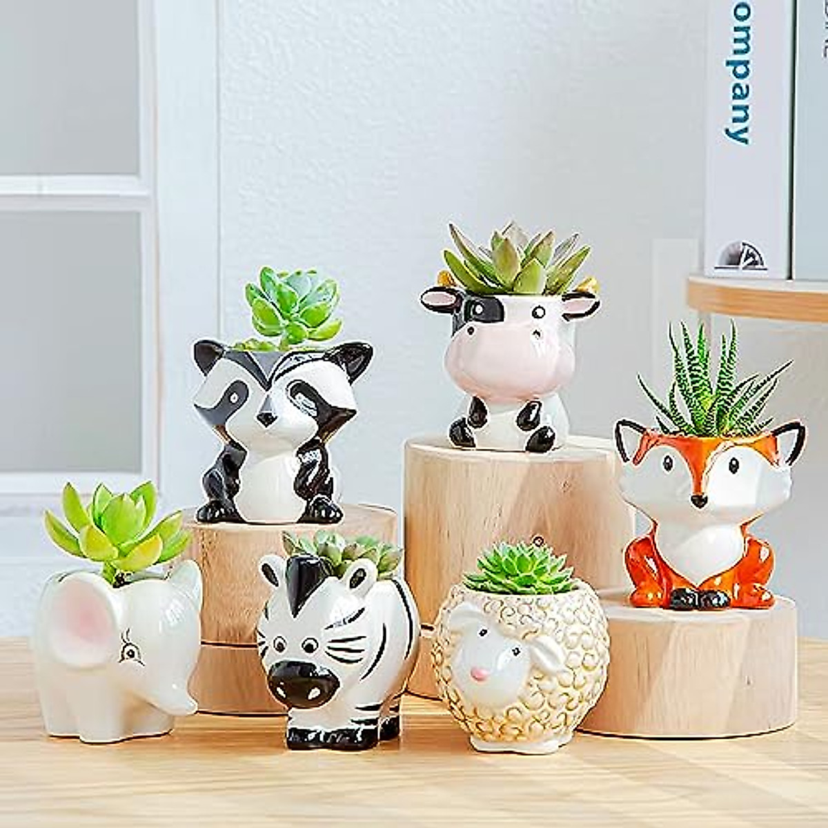 6 Pcs Air Plant Holders Cartoon Shaped Small Succulent Pot Animal Planter Small Ceramic Plant Pot with Drainage for Mini Plant Cactus Flower, Tillandsia Air Fern, Display Stand Home, Office Desktop