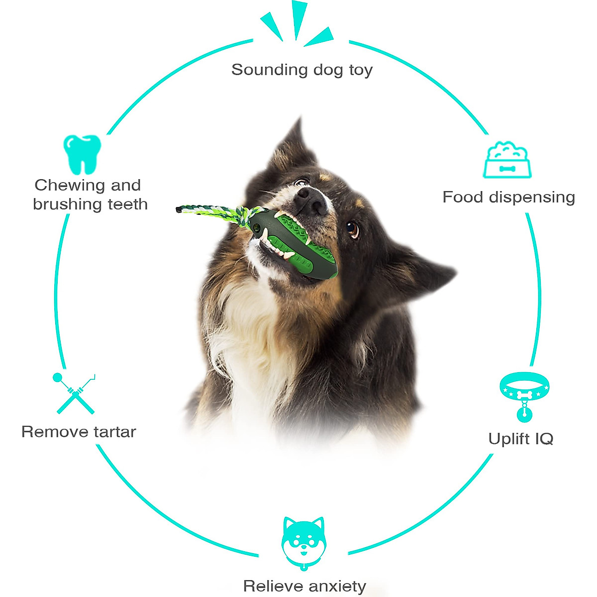 KAMHX Dog Teeth Clean Chewing Durable Football, for Small and Medium-Sized Dogs Missing Food, Human Dog Interaction, with Squeaky Durable Chewing Toys (Dark Green)