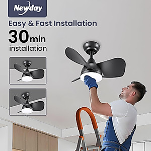 Newday Ceiling Fan with Lights Remote Control, 22 inch Quiet DC Motor Small Ceiling Fans, Dimmable Ceiling Fan for Bedroom, Kids Room, Kitchen (Black)