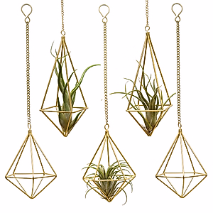 Geometric Hanging Tillandsia Holder Gold Metal Air Plants Holders Hanging for House Decor Living Room,Small Plant Holders Indoor Hanging,Plant Lover Gifts (5Pcs)