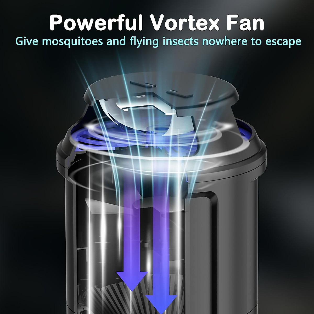 Fly Trap Indoor Non-Zapper Mosquito Trap 2 Modes Insect Traps Indoor Plug in Gnat, Fruit Fly, Bug Catcher for House with 4 Sticky Glue Boards