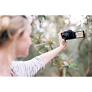 Panasonic DC-G100KK LUMIX G100 Mirrorless 4K Vlogging Camera with 12-32mm F3.5-5.6 Lens Bundle with Deco Gear Camera Bag + Photo Video Monopod + Microphone + 64GB Card + Software Kit & Accessories