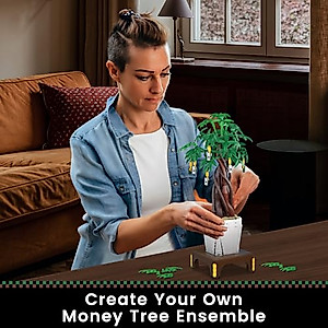 JMBricklayer Bonsai Tree Building Set for Adults 20008 - DIY Unique Money Tree Building Toy, Succulent Plants Flowers Botanical Collection Model for Room Office Decor - Gifts Idea for Boys Girls 14+