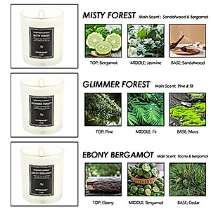 NEVAEHEART Candles for Home Scented, 3.5OZ x 3 Packs Scented Candle Set, Misty Forest | Glimmer Forest | Ebony Bergamot, Candle Gift Set for Women, Natural Soy Wax, Home Fragrance with Gift Box