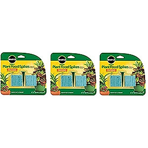 Miracle-GRO Indoor Plant Food, 48-Spikes (3-Pack (48 Count))