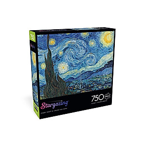 Buffalo Games - Starry Night - 750 Piece Jigsaw Puzzle for Adults Challenging Puzzle Perfect for Game Nights - 750 Piece Finished Size is 24.00 x 18.00