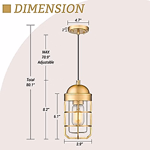 Emliviar Modern Gold Pendant Light with Metal Cage, Mini Ceiling Hanging Light with Clear Tempered Glass for Kitchen Dining Room, Gold Finish, GE255P BG