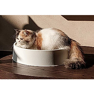 MIAOXSEN Refillable Cat Scratcher Cardboard & Bed for Indoor Cats, Scratching Lounge, Scratching Pad (Base)