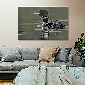 Common Loon with Chick on Water Back Call Picture Poster Wall Decoration Poster in Kamloops, British Canvas Painting Wall Art Poster for Bedroom Living Room Decor 08x12inch(20x30cm) Frame-style