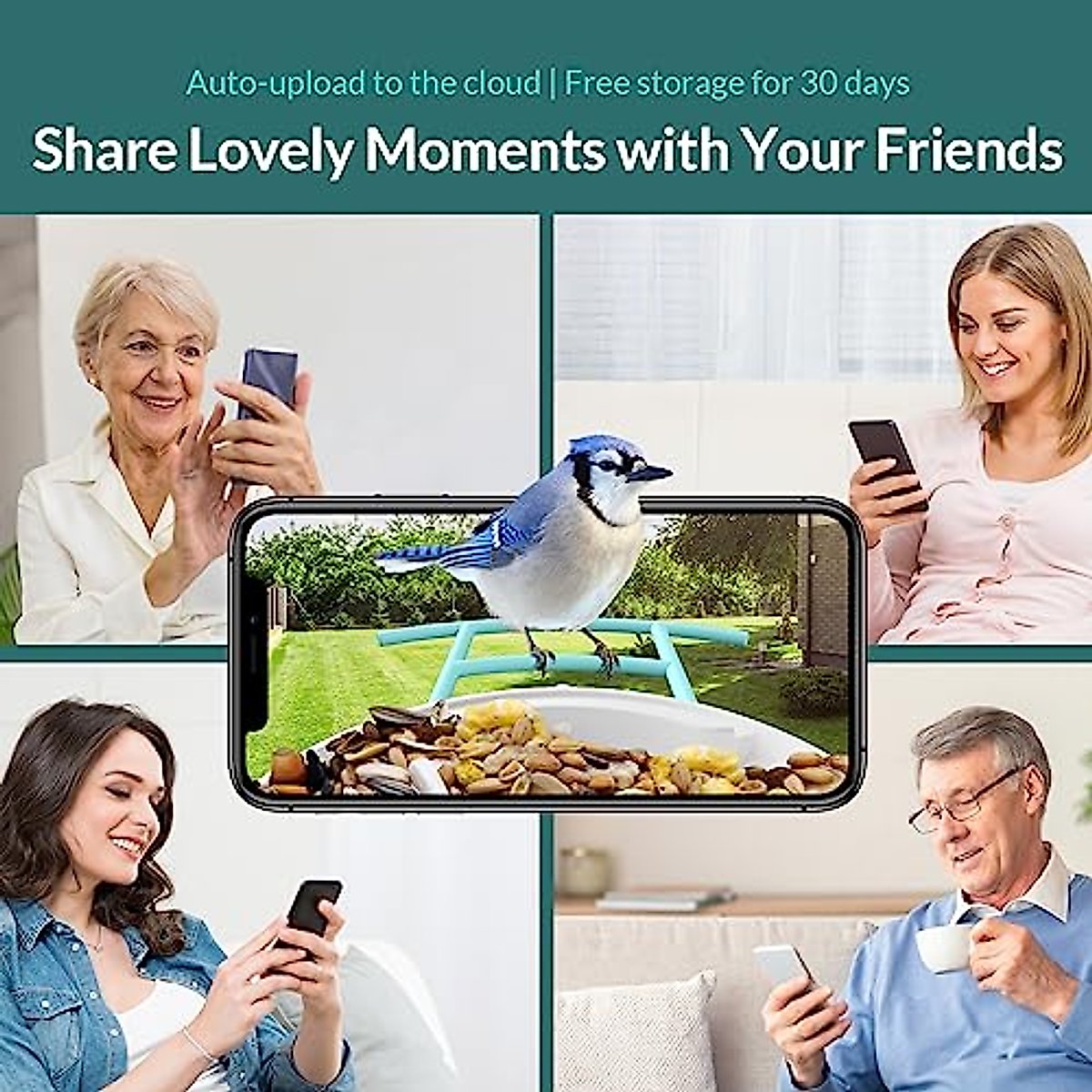 NETVUE Birdfy Lite - Smart Bird Watching Feeder with Auto Capture Videos & Motion Detection, Wireless Camera Ideal Gift for Bird Lovers