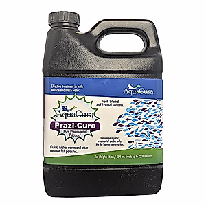 Prazi-Cura Liquid - Safest, Most Effective Parasite Treatment for Koi, and Aquarium Fish! Treats up to 2500 gallons.