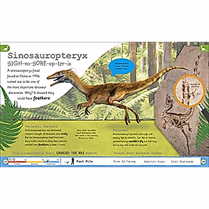 My Encyclopedia of Very Important Dinosaurs: Discover more than 80 Prehistoric Creatures (My Very Important Encyclopedias)