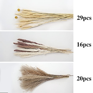 YUFFLYOW 65 pcs Natural Dried Pampas Grass,17In Pampas Grass Decor Tall Fluffy for Flower Arrangements Boho Home Decor,Pampas Grass Plants for Home Garden Wedding Party Decor, PG24