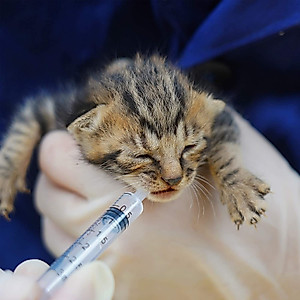 40 Pack 5ML Plastic Syringe Luer Slip with Cap, Great for Measuring, Refilling Watering and Pets Feeding(Not-sterile) (5ML)