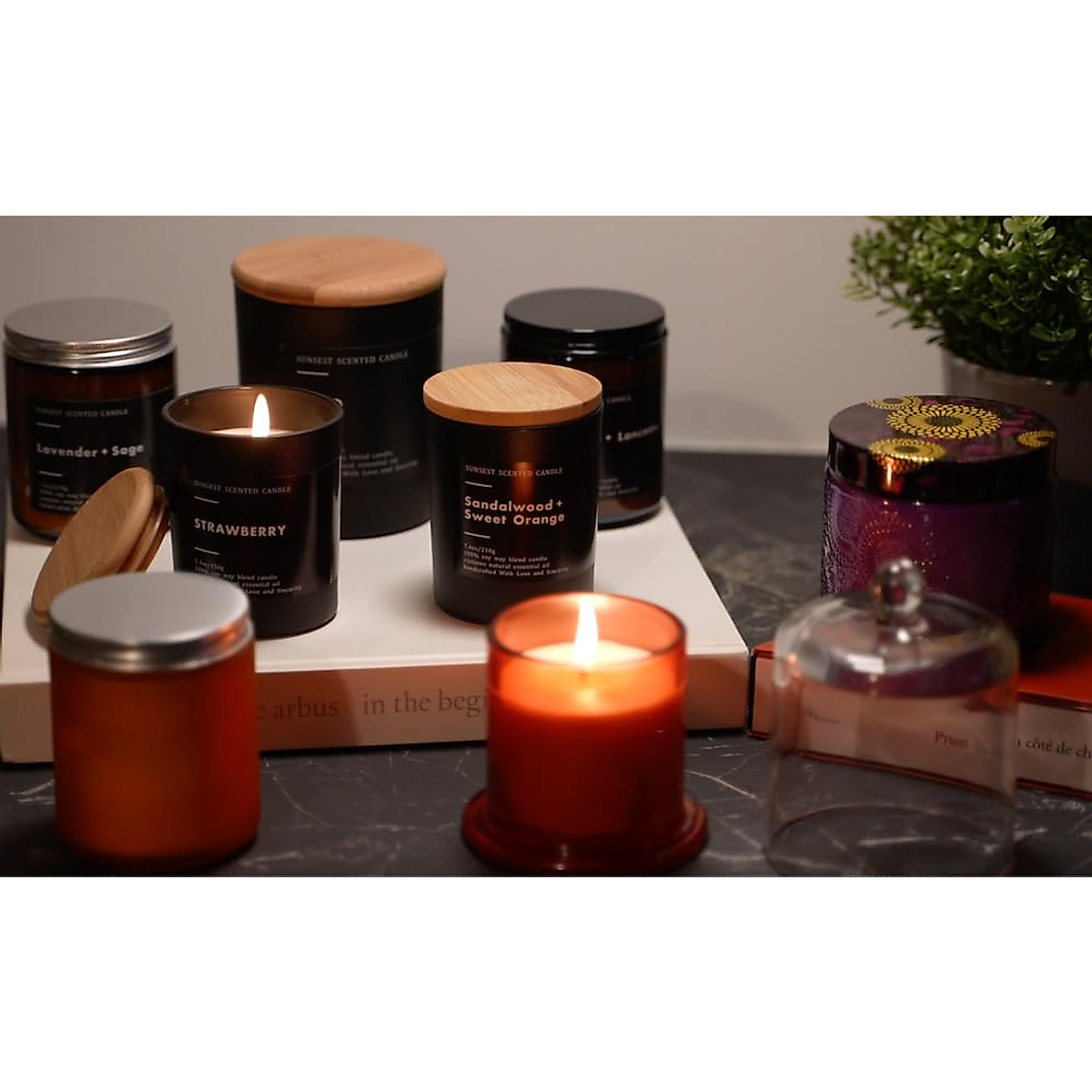 SunSest Scented Candle - for Home and Gifts - Lavender & Eucalyptus - 100% Natural Soy Wax and Pure Essential Oils - Women and Men Candles - Long Lasting- Stress Relief