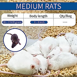 MiceDirect Frozen Rat Medium Feeder Food Adult Ball Pythons, Monitors, Lizards & Birds of Prey, 40 Ouncers (25 Count)