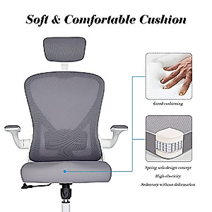Dedeo Ergonomic Office Chair, Home Office Computer Chair, High Back Mesh Desk Chair with Adjustable Lumbar Support and Headrest, Tilt Function, Thick Seat Cushion Breathable Mesh Computer Chair