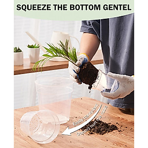 homenote Clear Nursery Pots for Plants,3/4/5 Inch Plant Pot for Planting Plastic Seedling Pots with Drainage Holes Seed Starter Pot Flower Pots High Transparency with 20 Plant Labels (30 Pack)