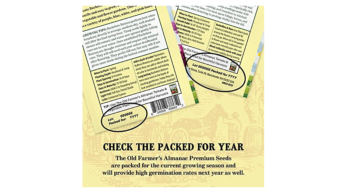 Heirloom Organic Chive Seeds - Non-GMO & USDA Certified