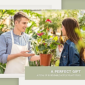 30 Pcs 15.6 Inch Acrylic Plant Stakes Garden Stakes Clear Orchid Stakes Clear Plant Sticks Potted Plant Support Stakes for Supporting Vines Grow Upright