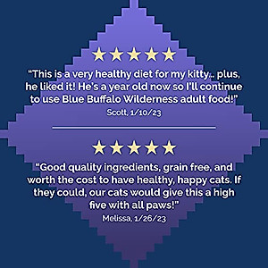 Blue Buffalo Cat Food for Kittens, Natural Chicken Recipe, High Protein, Dry Cat Food, 5 lb bag