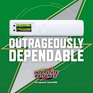 Interstate Batteries AAA Alkaline Battery (48 Pack) All-Purpose 1.5V High Performance Battery - Workaholic (DRY7002)