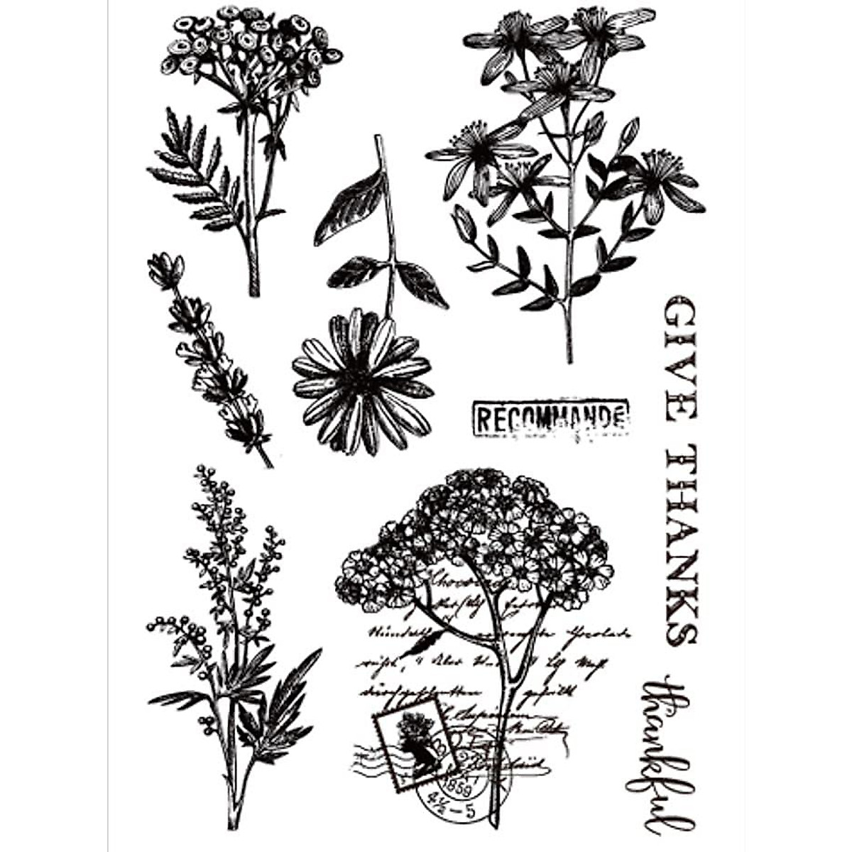 Forever Stamps Silicone Clear Stamps - Plants Botanic Pattern with Arylic Block Set for Card Making Decoration and DIY Scrapbooking ZENTA