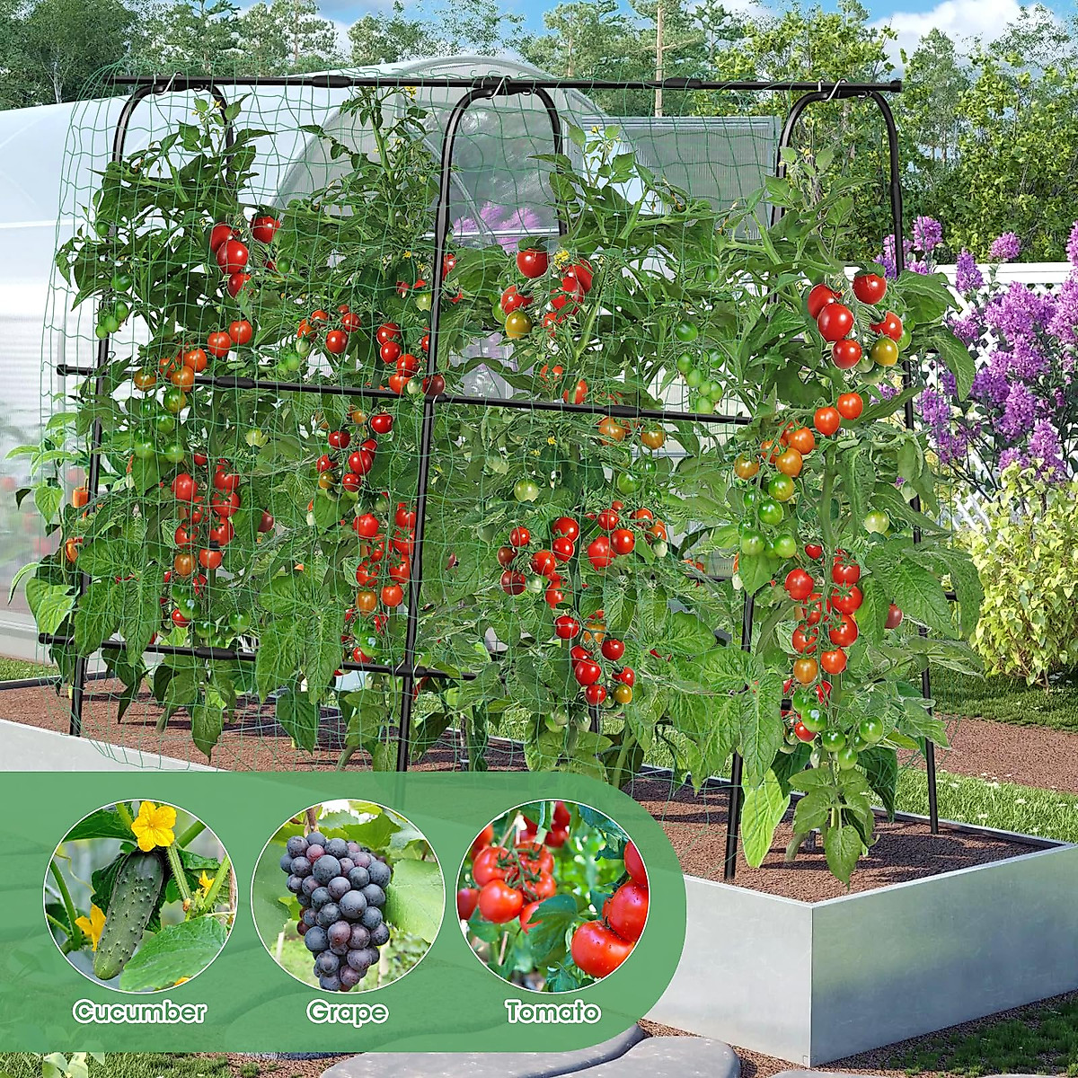 Cucumber Trellis for Garden Vegetable Trellis,63" x 63" U-Shaped Metal Garden Trellis Arch Plant Grow Support Frame for Climbing Plants Support Vegetable Flower Fruits Vine,with Nylon Netting(Black)