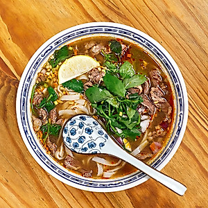 Hoilse Asian Soup Spoon Set of 4,Ceramic Chinese/Japanese Ramen Spoons, Long Handle Perfect Depth for Dumpling, Pho, Noodles, Miso, Wonton, Dishwasher Safe(Retro)