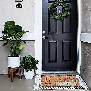 Coir Door Mat Natural Fade - Vinyl Backed Welcome Halloween Fall Summer Door Mat 16x24in Fall Floral Flowers Jars Sunflowers Pumpkins Houses Doormat Home Entryway Farmhouse Decor