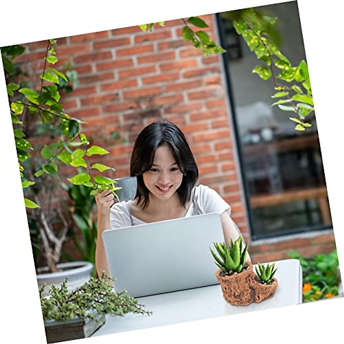 DOITOOL 1pc Stump Orchid Home S Indoor Garden Outdoor Flower Hole Plants Cactus for with Succulent Drainage Flowerpot Pot Bowl Planter Cement Decoration Desktop Container Bonsai Driftwood