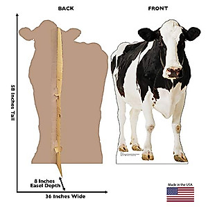 Advanced Graphics Cow Life Size Cardboard Cutout Standup