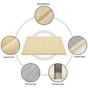 Tindbea Dog Mat for Muddy Paws,Absorbs Moisture Dirt Non-Slip Washable Mud Mat for Dogs,Soft Rubber Backing Front Inside Pet Rug for Entryway, Mud Dog Paws, Patio(24"x35", Blue)