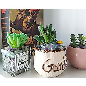 DUQGUHO Decorative Rocks Aquarium Gravel Natural Fluorite Crystals Chip Bulk Rocks Gravel for Plants Terrarium Supplies Little Fish Tank Gravel Pebbles Vase Filler 0.44 lbs