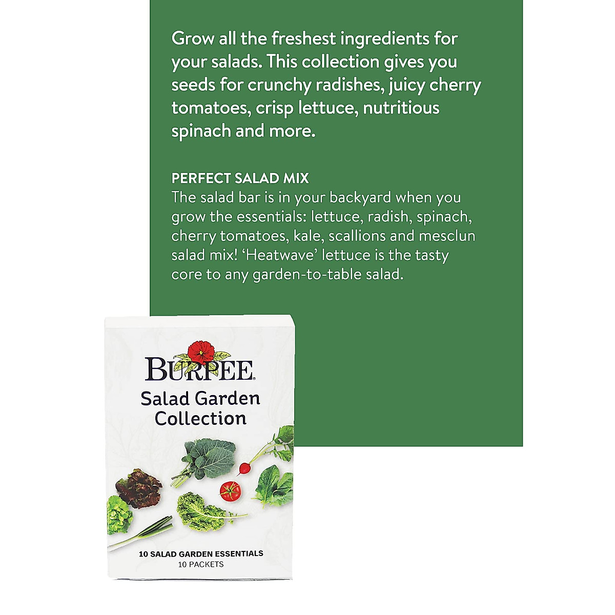 Burpee Salad Garden Collection 10 Packets of Non-GMO 4 Lettuce Varieties Tomato, Radish, Spinach, Kale, Scallions & Mesclun Mix | Seeds for Planting Vegetables