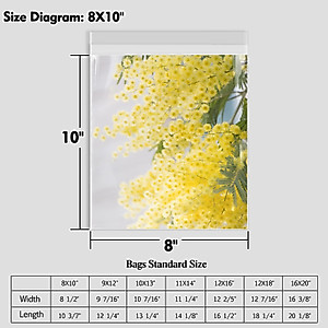 Mat Board Center, 50 Pack 8 1/2" x 10 3/7" Acid-Free Crystal Clear Sleeves Storage Bags for 8x10 Art Prints/Pictures/Photos/Framing Mat Mattes