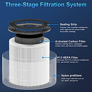 Air Purifier Filter for Tailulu D10 Air Purifier, 3-in-1 H13 Grade True HEPA Replacement Filte, D10 Replacement Filter 1 Pack
