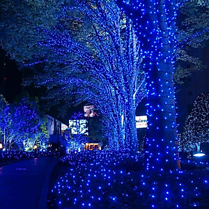 FUNPENY 164FT 500 LED Christmas Indoor Outdoor Decorative String Lights, 8 Modes Waterproof Plug in Green Wire LED Fairy Light for Christmas Party Wedding Garden Home Decoration (Blue)