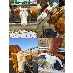 QIQIRO Large Size Silicone Goats Calf Cattle Bull Cow Big Horn Cover Anti-Fight Protective Cover Cow Horn Protector Round Cornered With 4 Clamps(Large Size 9.45''X2.16'')