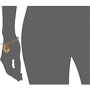 Alex and Ani Team USA Gymnastics Expandable Rafaelian Gold Bangle Bracelet