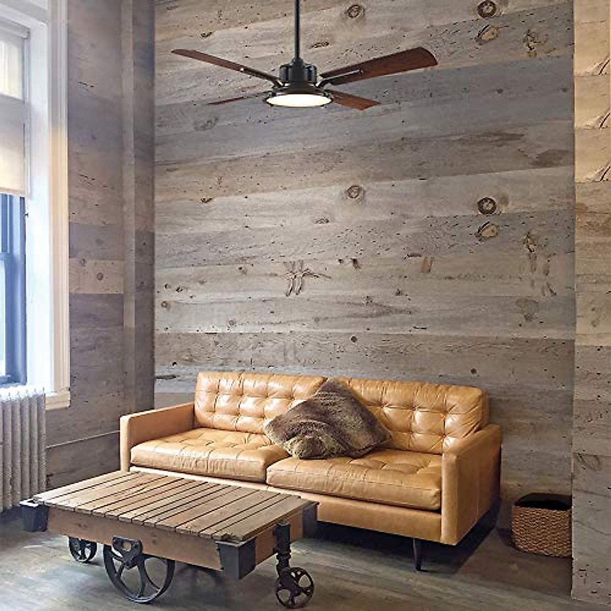 Modern Forms Fans FR-W1818-56L-OB/DW Restoration 56``Ceiling Fan from Nautilus collection in Bronze/Dark finish,