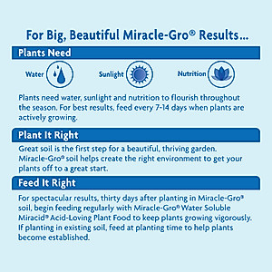 Miracle-Gro Water Soluble Miracid Acid-Loving Plant Food