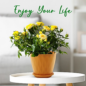 YNNICO 6 inch Plant Pots, 5 Pack Flower Pots Outdoor Indoor, Planters with Drainage Hole and Tray Saucer