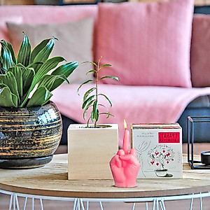 6sisc Middle Finger Scented Candle Hot Pink Danish Pastel Room Aesthetic Decor Pine Fragrance Candles Natural Vegan Soy Wax Hand Gesture Aromatherapy Candle for Home Bedroom Decoration Birthday Gifts