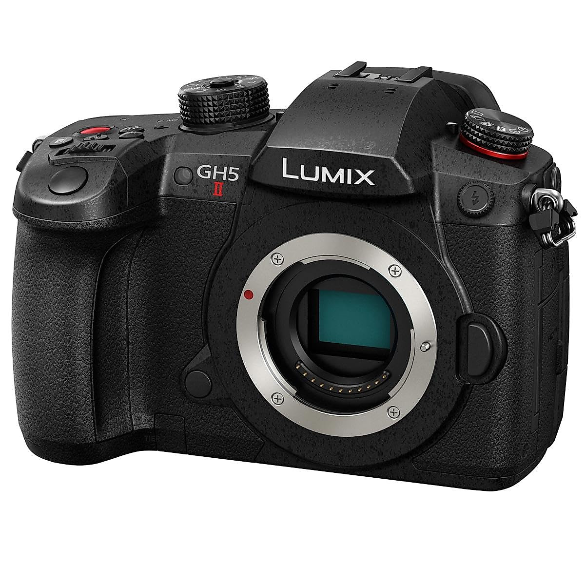 Panasonic LUMIX GH5II Mirrorless Camera Bundle with Panasonic LUMIX G X Leica DG Vario-Elmarit 12-35mm f/2.8 Aspherical Lens for MFT, ProOPTIC Lens Wrap
