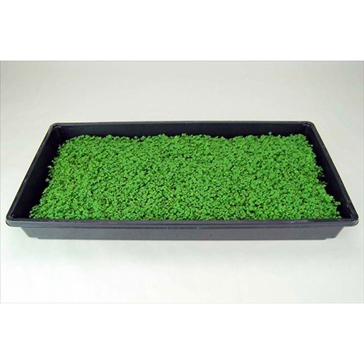 Southern Giant Mustard Seeds - 4 Oz. Resealable Bag - Use for Indoor Gardening, Growing Microgreens & More | Micro Greens Salad Garden Seeds