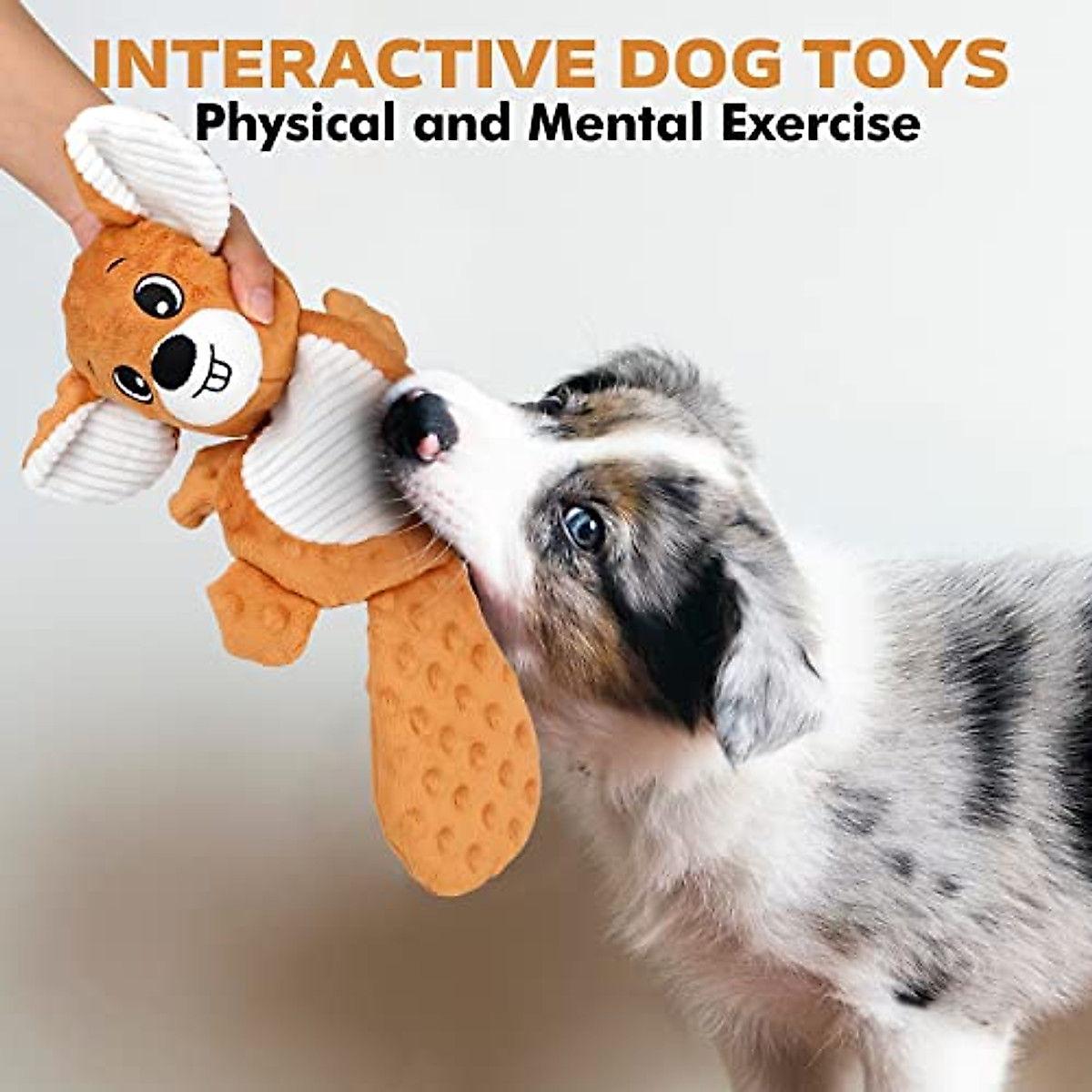 petizer Plush Squeaky Dog Toys, Stuffed and Crinkle Dog Chew Toys, Interactive Toys for Puppies, Small, Medium and Large Dogs, Cute Squirrel and Raccoon, 2 Pack