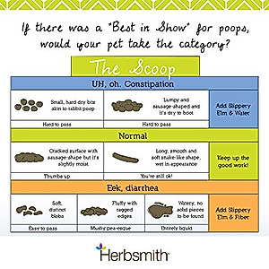 Herbsmith Organic Slippery Elm - Digestive Aid for Dogs and Cats - Constipation and Diarrhea Relief for Dogs and Cats - Megaesophagus Dog Aid- 75g